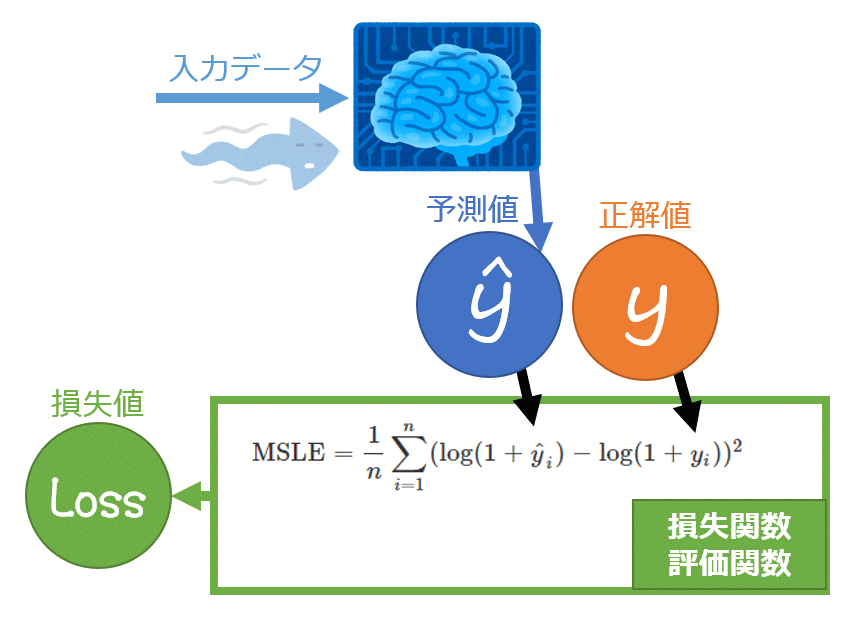 [損失関数／評価関数]平均二乗対数誤差（MSLE：Mean Squared Logarithmic Error）／RMSLE（MSLEの平方根 ...