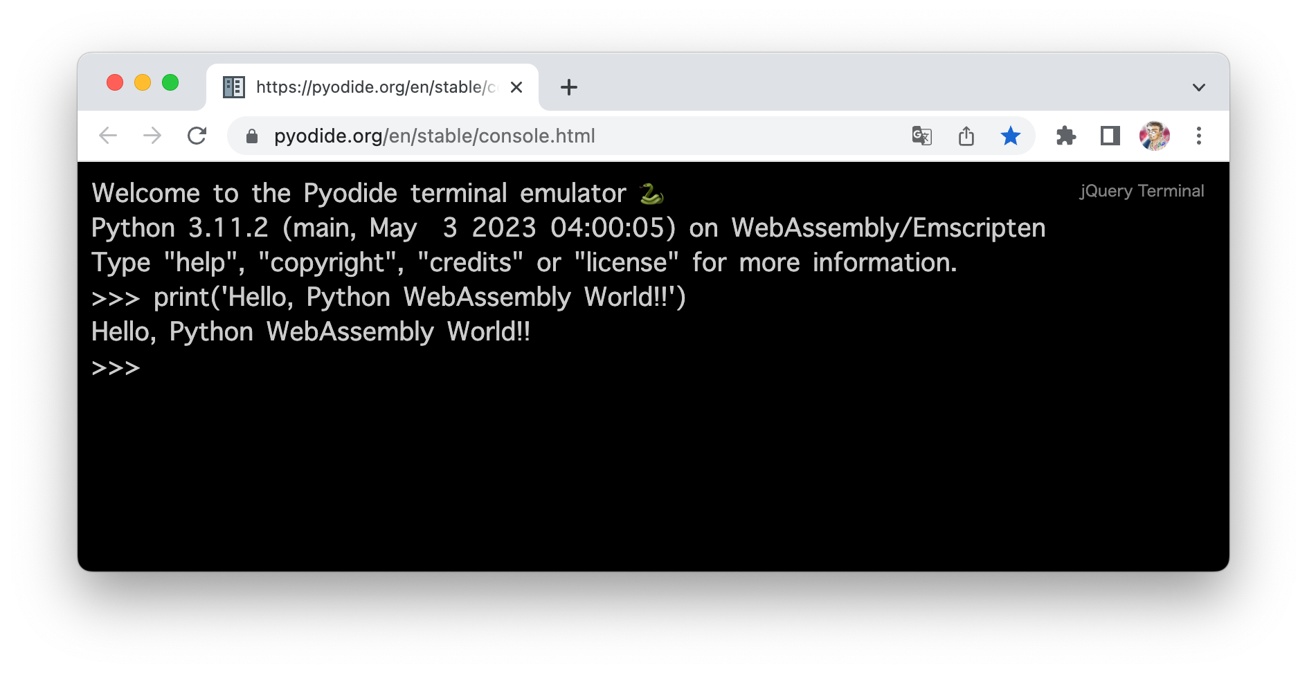 PythonとRubyでWebAssembly――PyodideとPyScript、Ruby 3.2を体験する：いろんな言語で試す、WebAssembly入門（終） - ＠IT