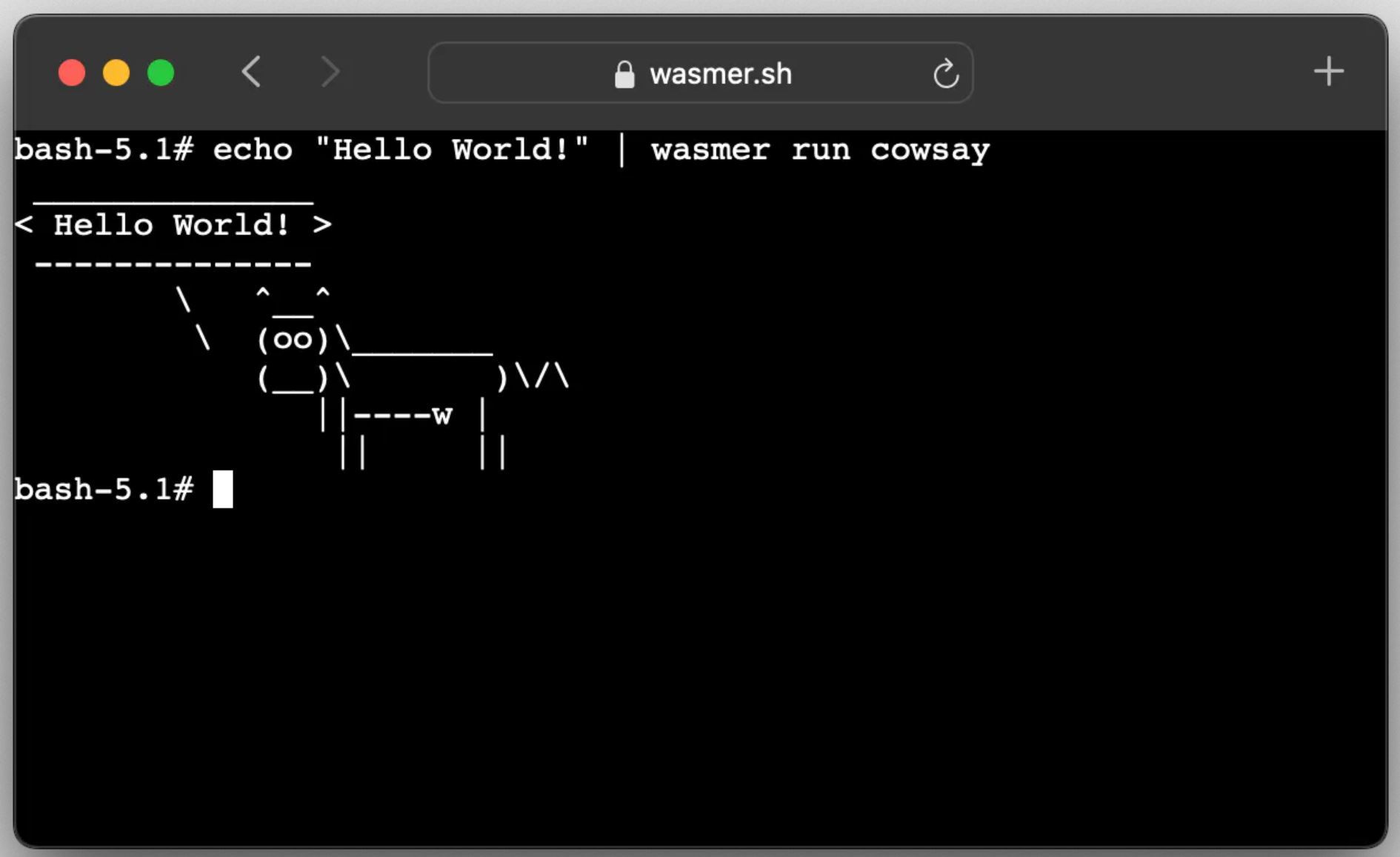 Wasmer、「Wasmer JavaScript SDK」を発表：WASIXを介してあらゆるUNIXプログラムをブラウザで実行できる - ＠IT