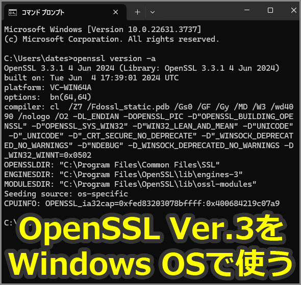 【Windows 10／11】WindowsにOpenSSL Ver.3をインストールして証明書を取り扱う：Tech TIPS - ＠IT