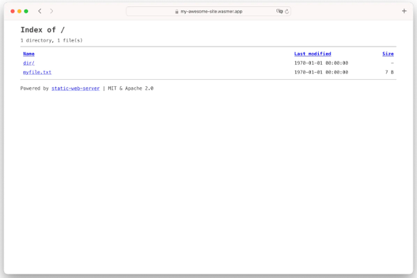 Wasmer JS SDK「@wasmer/sdk」アップデート Node.jsやブラウザからWebアプリを簡単に作成可能に：Web ...